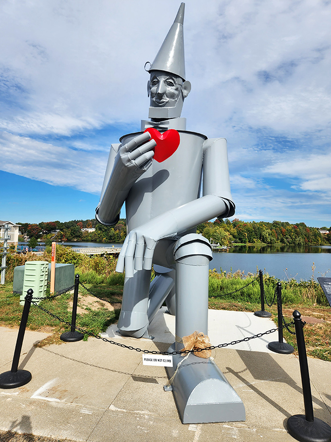 A close-up reveals the Tin Man's most famous feature &ndash; the bright red heart he holds carefully against his metallic chest.