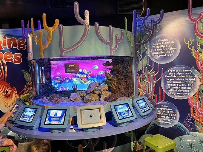 Interactive learning stations bring marine biology to life, making science accessible through touch screens and colorful displays.