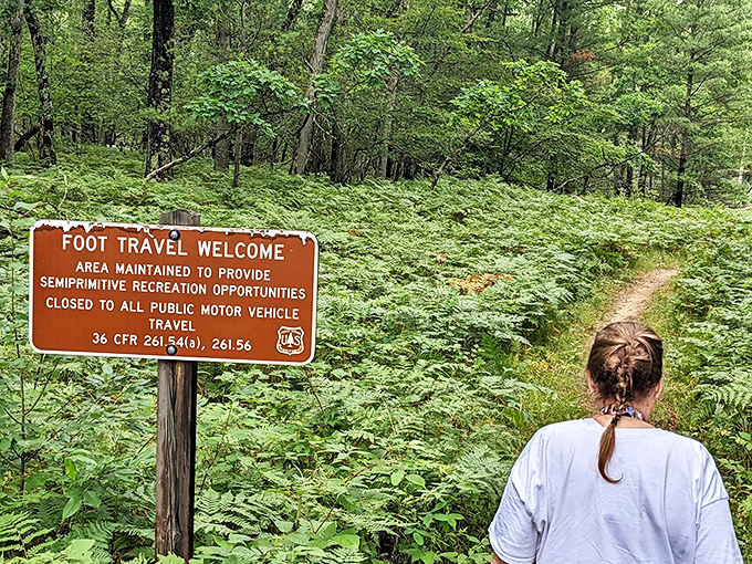 "Foot travel welcome" &ndash; nature's invitation to slow down and enter a world where fern forests replace office cubicles.