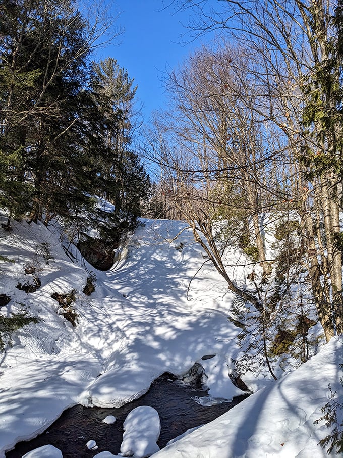 Winter's icy grip transforms flowing water into crystalline sculptures, creating a magical landscape that sparkles in the crisp air.