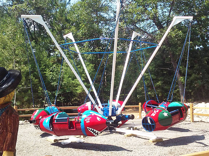 Mini jets that let kids experience "flight" without the TSA pat-downs or baggage fees. The smiles last longer than the ride!