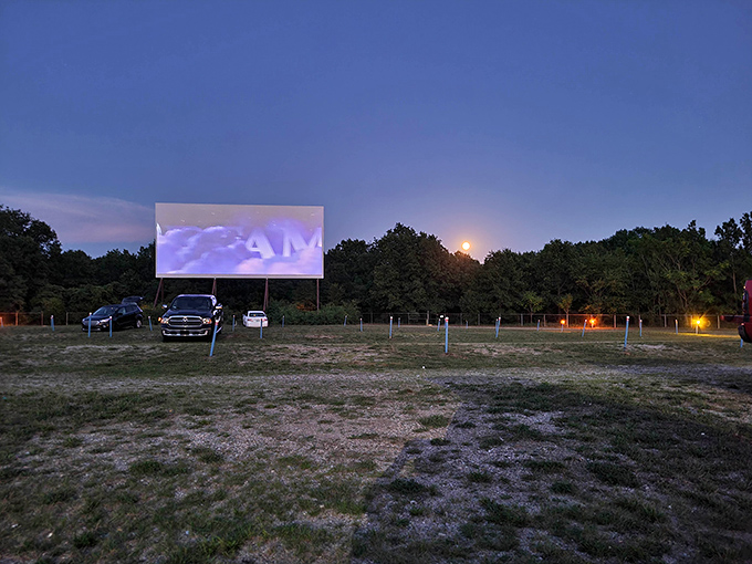 When darkness falls completely, the screen comes alive with light and color, transforming a simple field into a communal dreamscape.