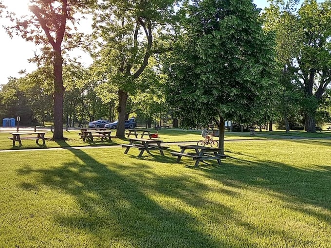 Nature's dining room, where sandwiches somehow taste better under Michigan's summer sky.
