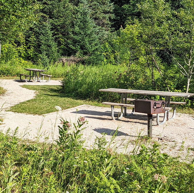 Rustic picnic tables nestled in wildflower meadows invite travelers to feast with a side of serenity.