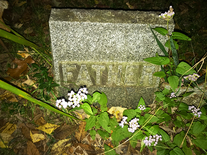 White berries bloom beside a simple stone marked "Father," nature's way of decorating graves when family members can no longer bring flowers.
