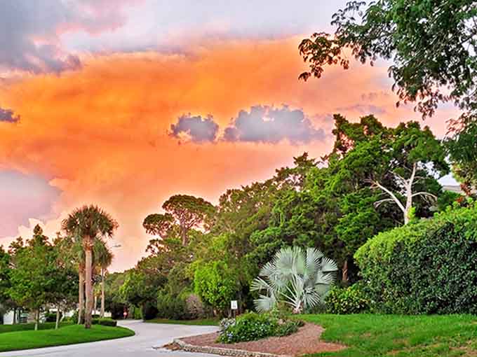 Nature paints the evening sky in impossible shades of orange and pink, turning an ordinary residential street into a magical passage.