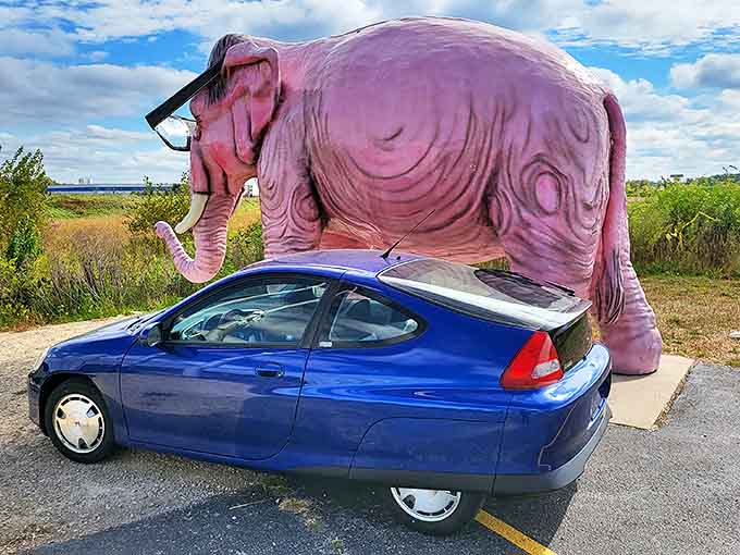 The perfect juxtaposition: a serious road sign pointing toward a decidedly unserious pink elephant. America's highways at their finest!