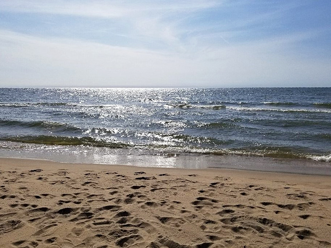 Where forest meets shoreline: this secluded beach spot feels like nature's secret room, accessible only to those who make the journey.