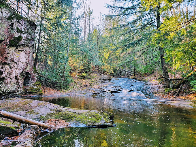 Crystal clear waters reveal every pebble and secret in this forest stream, nature's version of high-definition television.
