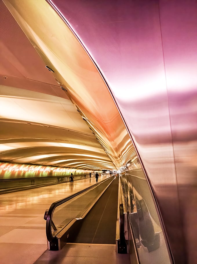 From this angle, the curved walls create an infinite corridor effect, drawing you forward through a tunnel that feels both futuristic and strangely comforting.