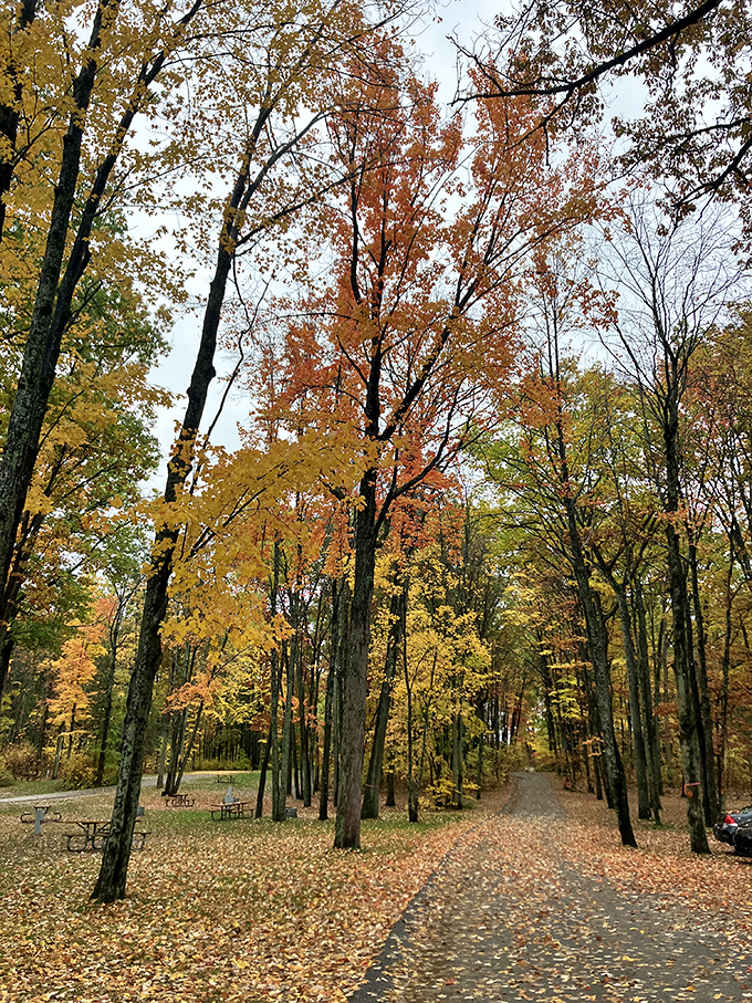 Autumn magic: Fall transforms the park into a kaleidoscope of colors, doubled by their reflection in the still-clear waters.
