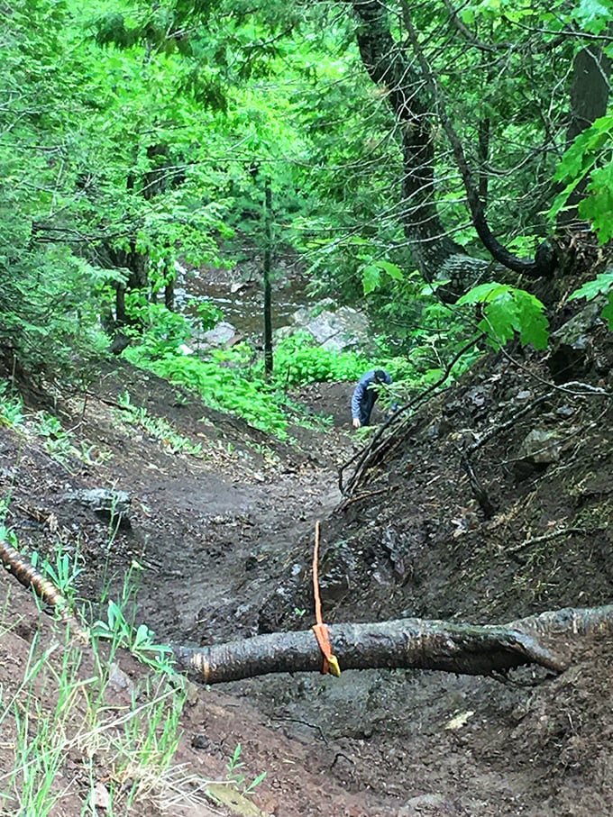 The trail occasionally reminds you that "moderate difficulty" means different things to different people. Your quads will have opinions about this section!