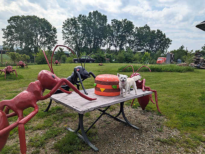 Summer brings vibrant contrast as giant red ants hold an impromptu picnic around a hamburger sculpture that would make any fast-food chain jealous.