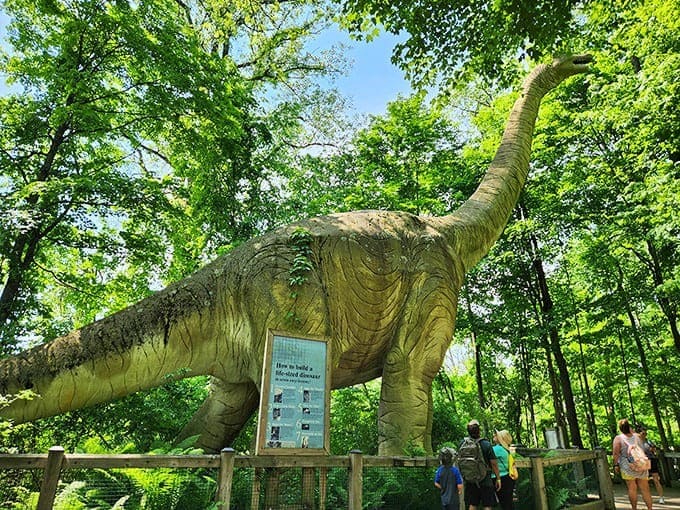 Summer at Binder Park Zoo means wide open spaces, roaming wildlife, and the kind of blue skies that make you forget deadlines exist.