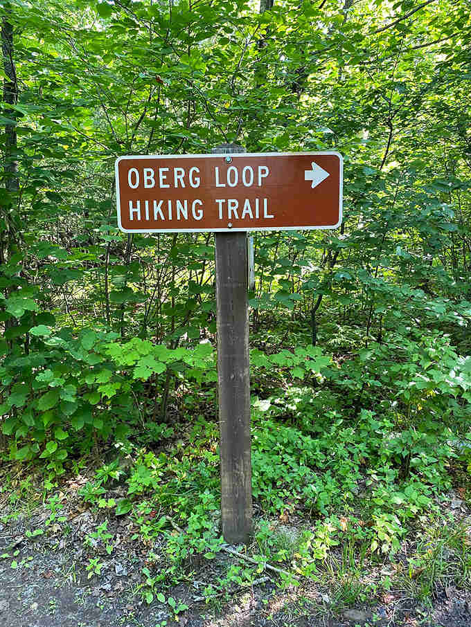 Trail post: The Oberg Loop sign stands as a humble gatekeeper to extraordinary beauty – understated Midwestern modesty at its finest.