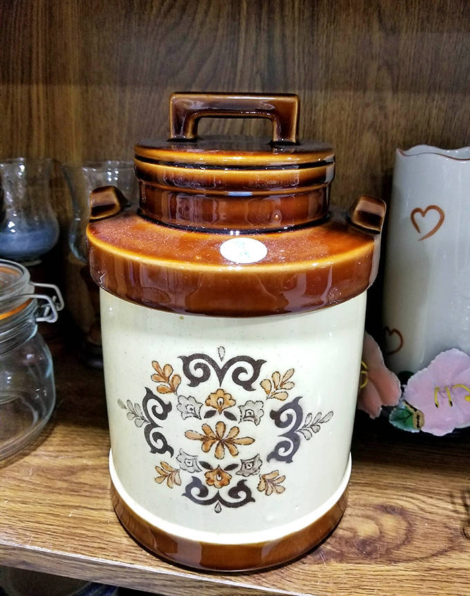 This vintage McCoy pottery canister represents the hidden gems waiting to be discovered. Collectors know: one person's donation becomes another's prized possession.