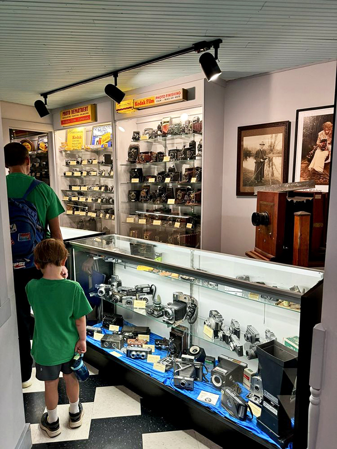 Vintage cameras and photography equipment line the walls, a testament to the evolution of image-making technology through the decades.