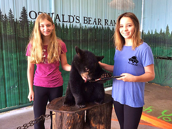 Future wildlife biologists get up close with a bear cub&mdash;creating the kind of vacation photo that will dominate show-and-tell for years.