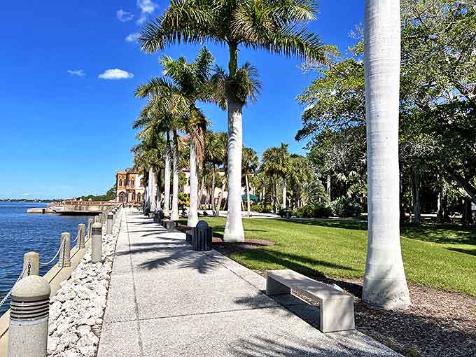 This isn't just a walkway &ndash; it's an invitation to adventure, leading visitors through wetlands teeming with life.