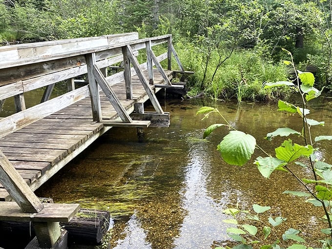 Clear waters reveal every pebble beneath this wooden footbridge &ndash; like nature installed its own aquarium for passing hikers.