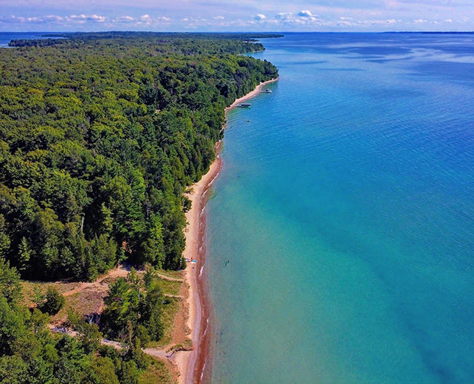 Bird's eye brilliance reveals the true scale of Barnes Park's untouched shoreline, where forest meets water in perfect harmony.