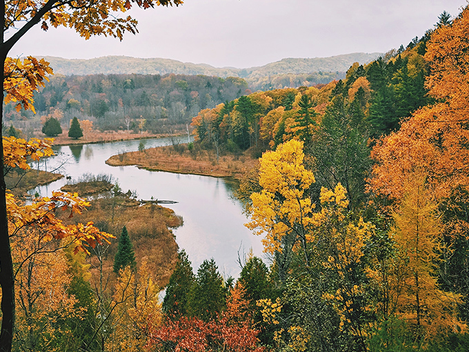 Fall transforms the Manistee River valley into nature's own fireworks display, where every overlook offers front-row seats to the spectacle.
