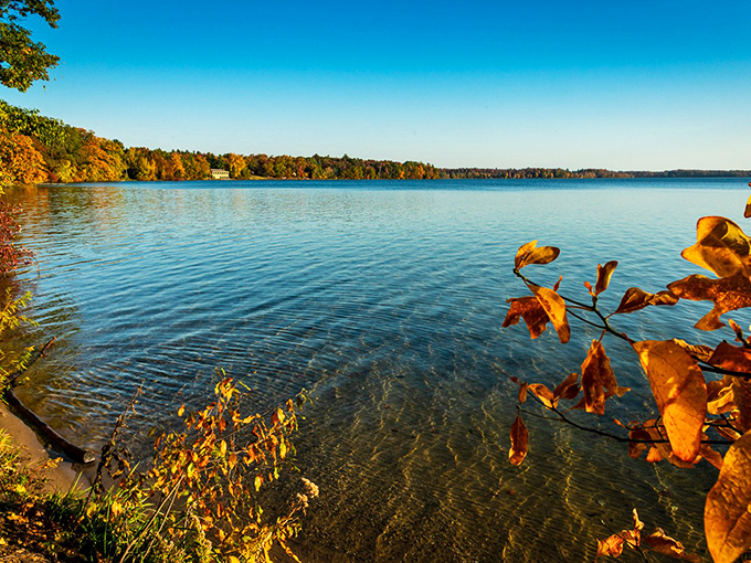 Fall transforms Interlochen into a painter's palette of warm hues. Mother Nature showing off her seasonal wardrobe change!