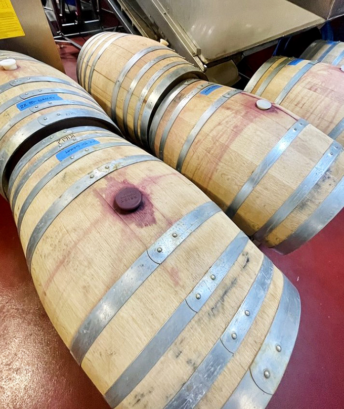 Where the magic happens &ndash; oak barrels quietly transforming grape juice into complex wines, each developing its own unique character.