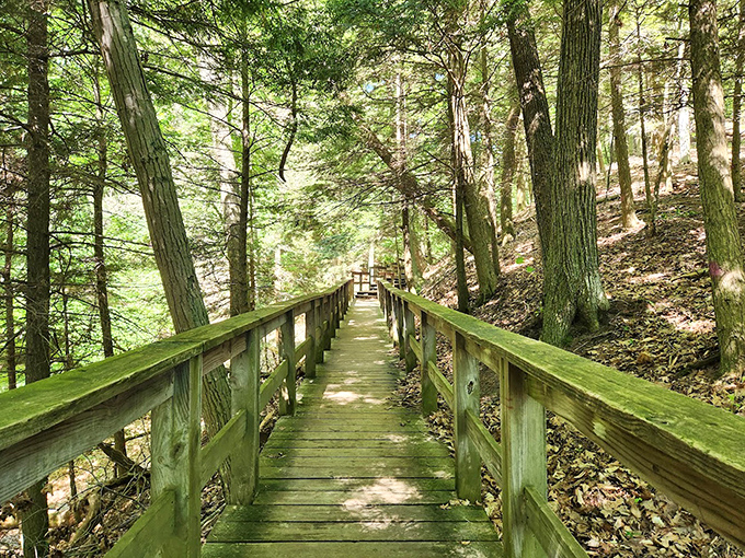 This wooden walkway offers prime lake-gazing real estate, complete with a bench for those "I need to sit and process this beauty" moments.