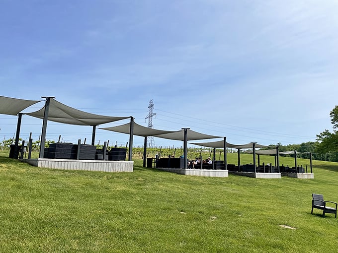 Modern canopies create outdoor tasting spaces where vineyard breezes enhance every sip, blending natural beauty with wine country pleasures.