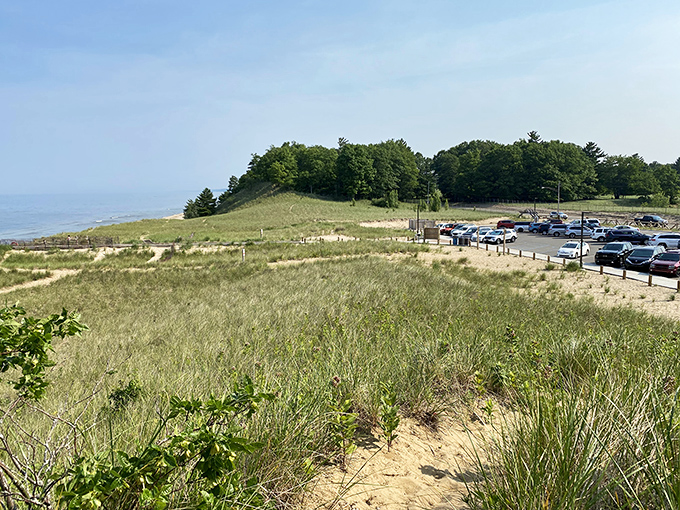 Windswept dunes stand as natural sentinels, their grasses dancing in the breeze like they're celebrating their good fortune to call this place home.
