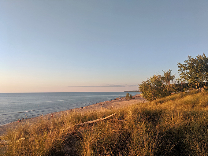 Golden hour transforms the dunes into a magical landscape where the light seems to make the sand glow from within.