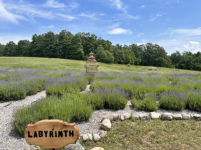 The lavender labyrinth invites visitors to lose themselves in a fragrant journey &ndash; meditation with training wheels and better scenery.