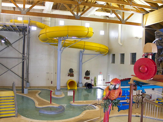 These twisting yellow slides deliver that perfect stomach-dropping sensation before the satisfying splash landing below.