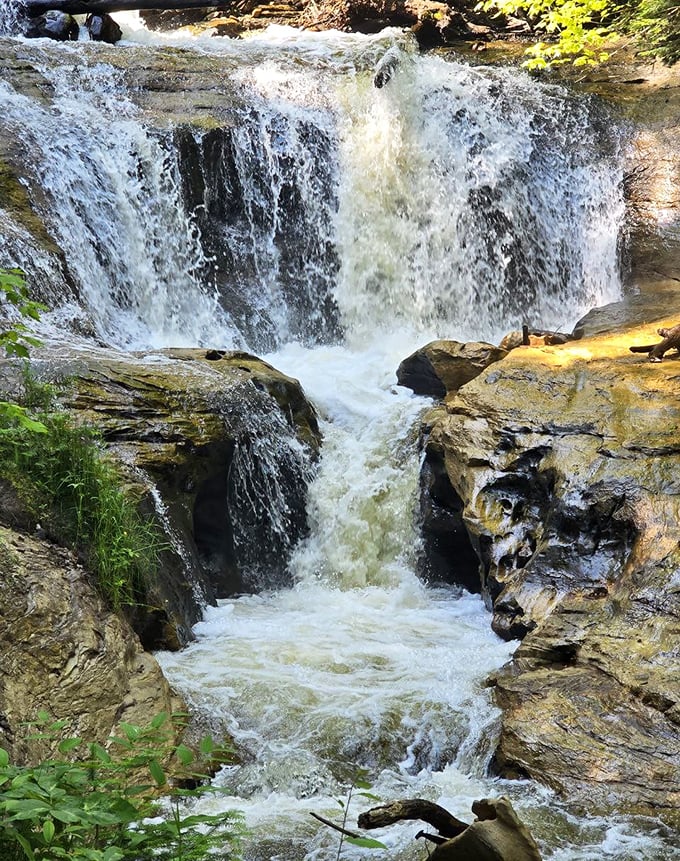 The falls thunder down with hypnotic power, creating the kind of white noise that expensive sound machines try desperately to mimic.