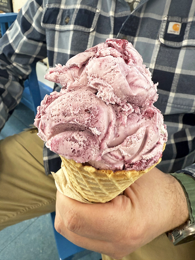 Marion Blackberry ice cream &ndash; a purple mountain majesty of Michigan fruit transformed into the perfect balance of sweet and tart.