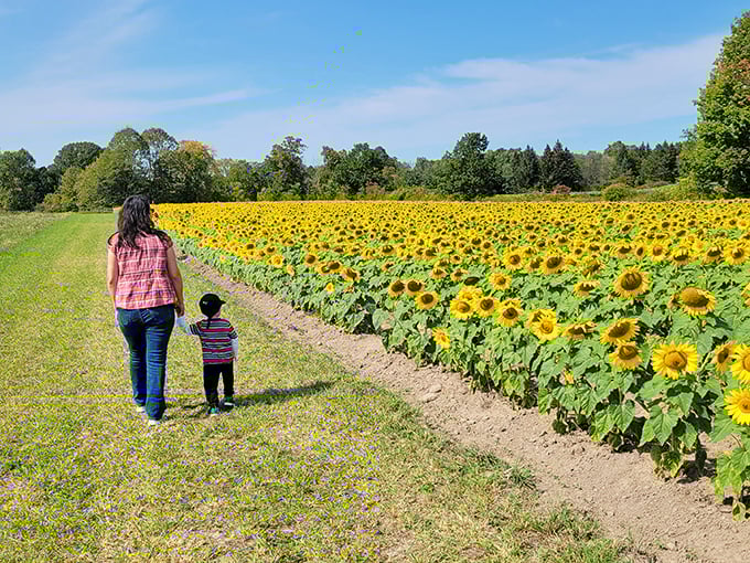 Generations sharing wonder &ndash; this mother-son moment captures the timeless joy of discovering nature's spectacles together.