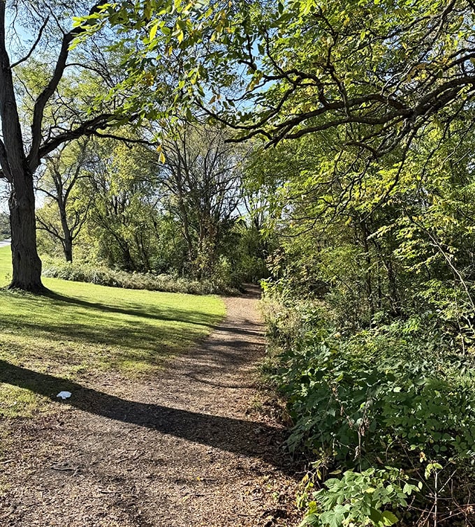 The trail curves ahead like nature's own mystery novel, each bend promising a new plot twist worth discovering.