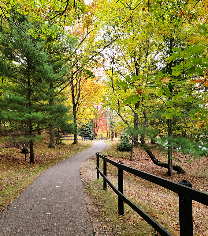 Autumn transforms the park's pathways into tunnels of gold and amber, nature's way of showing off before winter's quiet entrance.