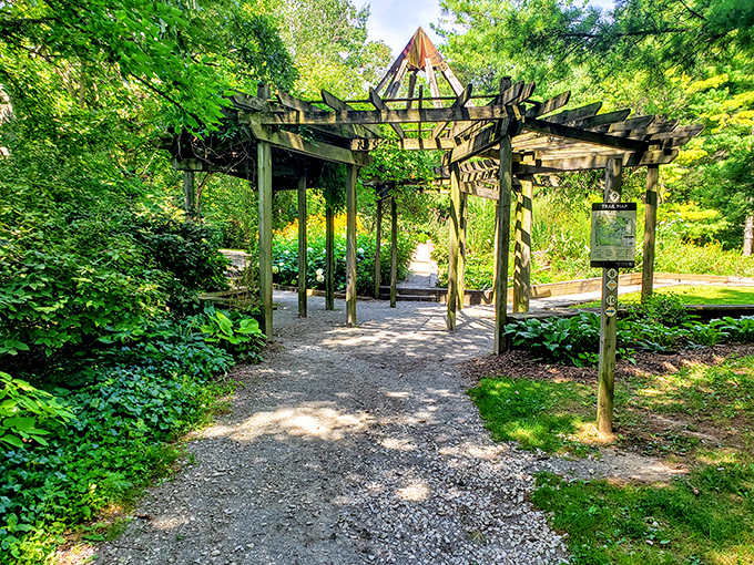 The perennial garden offers a masterclass in patience and beauty, much like raising children but with less backtalk.