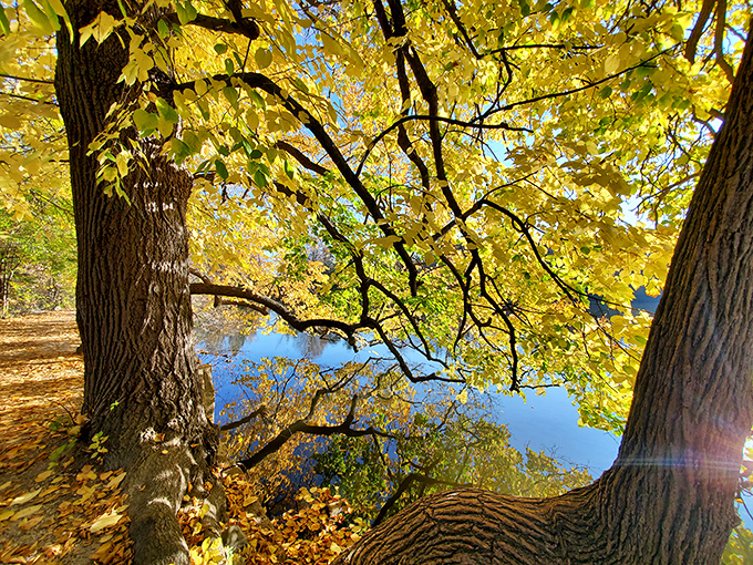 Autumn transforms the landscape into a painter's dream, where trees drop their golden treasures and every reflection doubles the visual feast.