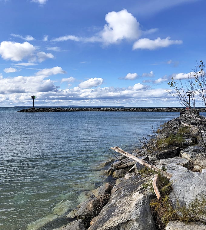 Rocky outcroppings provide perfect perches for contemplation, where the rhythmic waves remind you that some things remain beautifully constant.
