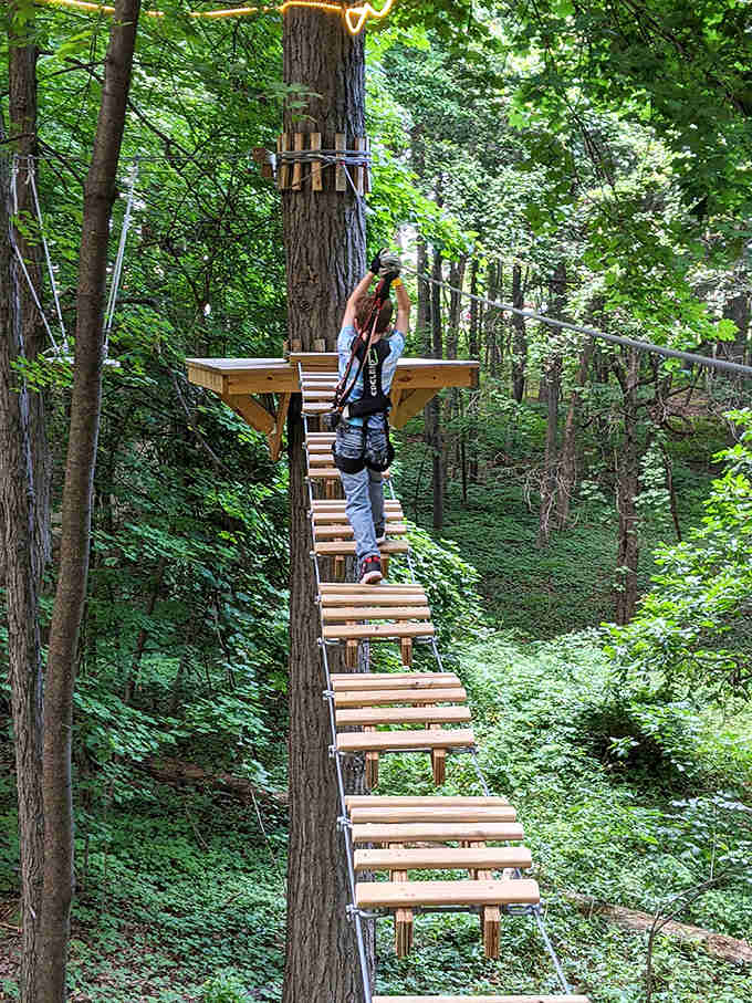 This wooden bridge demands focus and balance &ndash; one wobbly step could turn confidence into comedy in seconds.