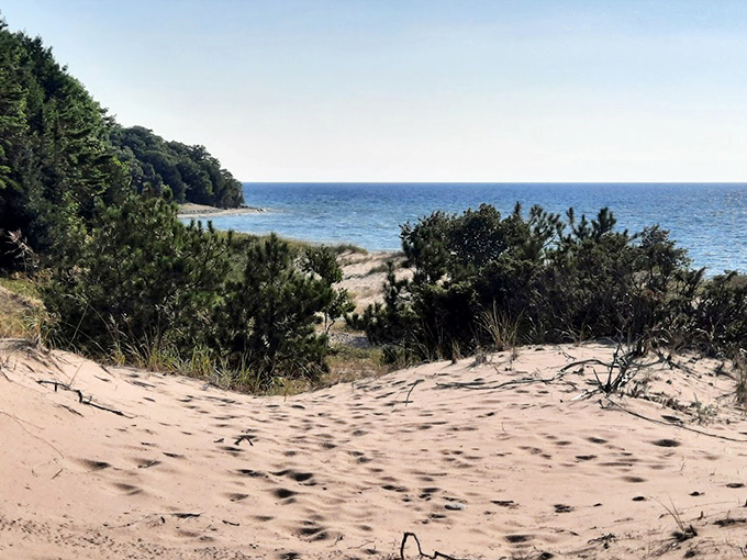 Sandy pathways wind through coastal vegetation, creating natural corridors that guide explorers toward hidden beach coves.
