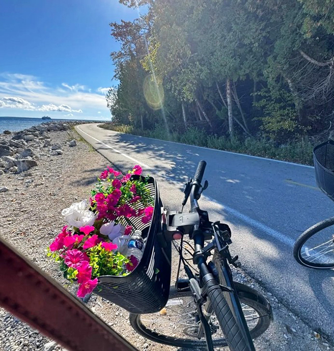 Pink petunias brighten a bike basket against the backdrop of Mackinac's famous shoreline path &ndash; proof that beauty finds beauty.