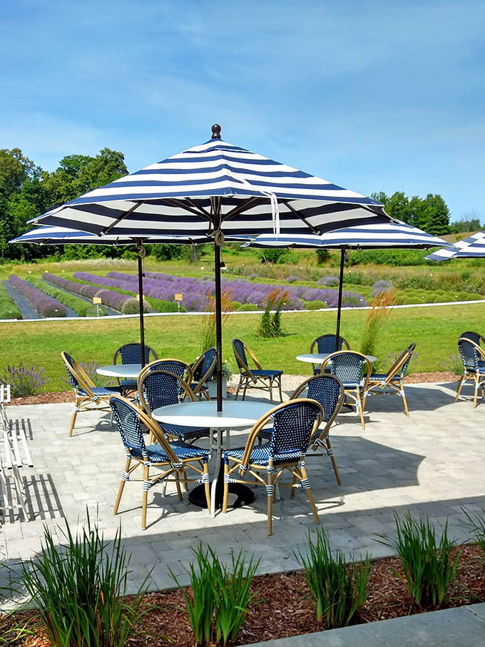 Parisian caf&eacute; vibes with Michigan views: Blue-striped umbrellas create the perfect spot for lavender ice cream and vineyard gazing.
