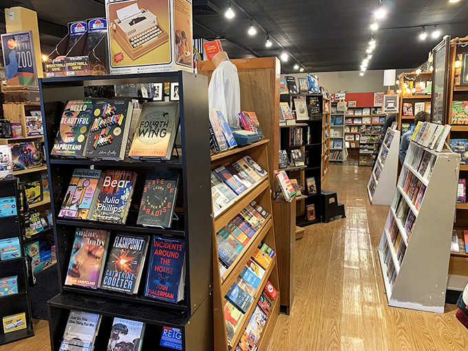 Colorful spines create a rainbow of reading possibilities, each book patiently waiting for the right reader to discover it.