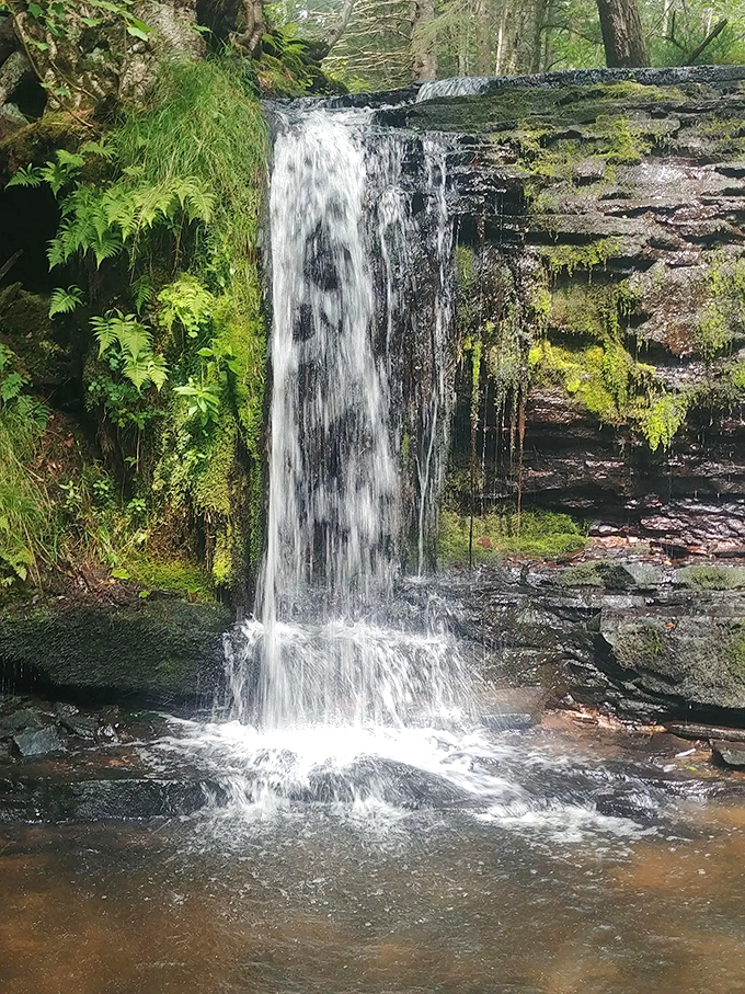 This modest cascade proves that in nature, size isn't everything – it's the setting, the journey, and the moment of discovery that create magic.
