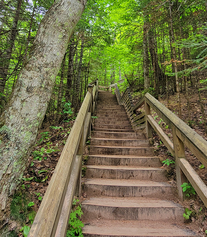 Looking up the wooden staircase reveals the journey ahead &ndash; a climb worth taking for views that redefine "worth the effort."