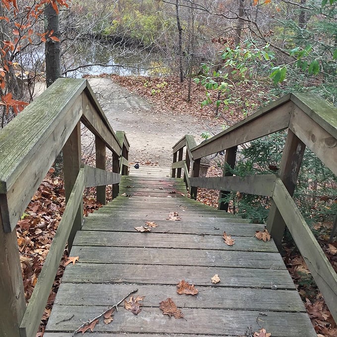 These wooden steps don't just lead down to the water &ndash; they're an invitation to pause and appreciate the quiet reflection.